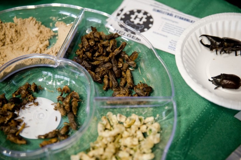 Magyar Szemmel - Húst eszik és bogarat prédikál az ENSZ